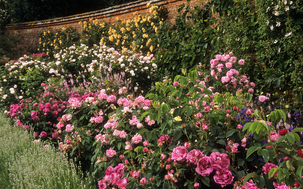 Sei un amante del verde? Ecco informazioni sul giardinaggio e preventivi